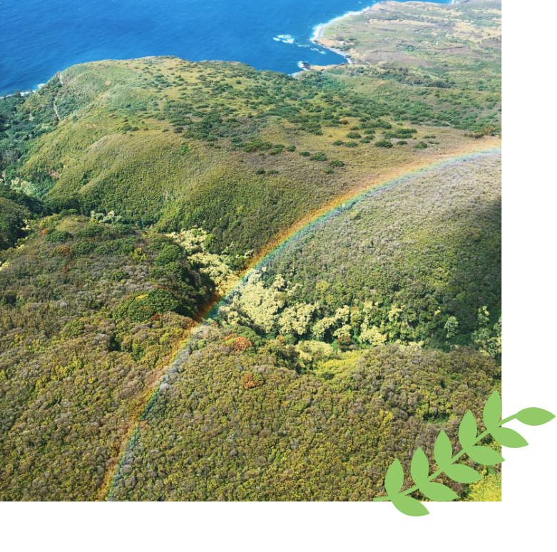 Road to Heavenly Hāna - Hana Tonic